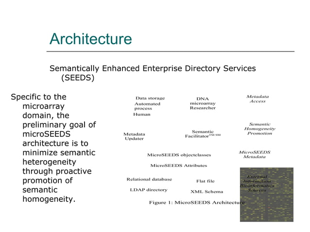 Microarray DB Integration | PPT