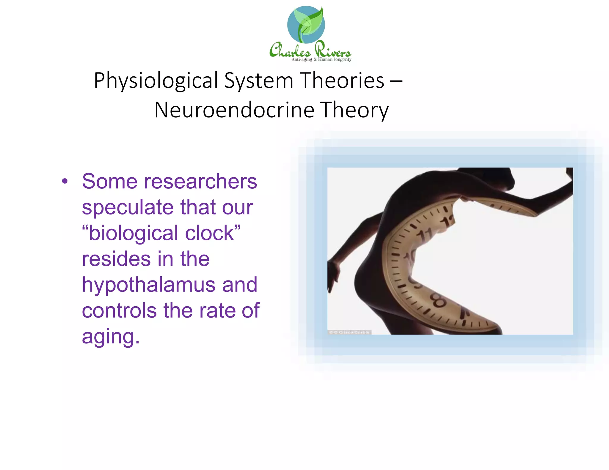 Biological theories of aging | PPTX