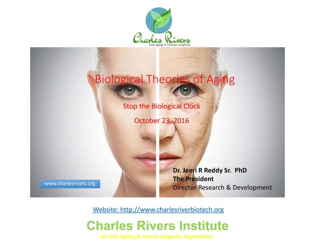 Biological theories of aging | PPT Biological theories of aging | PPT