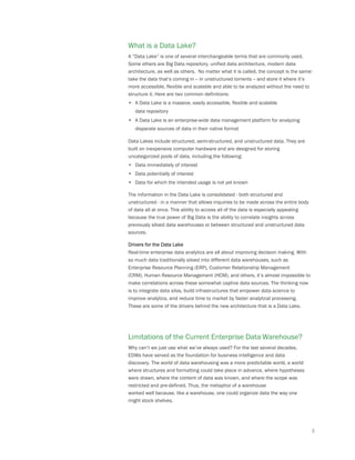 Whitepaper-The-Data-Lake-3_0 | PDF