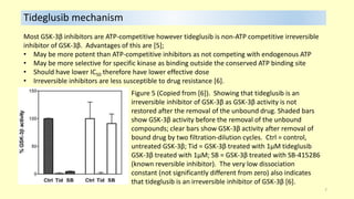 Alzheimers - Tideglusib presentation | PPT