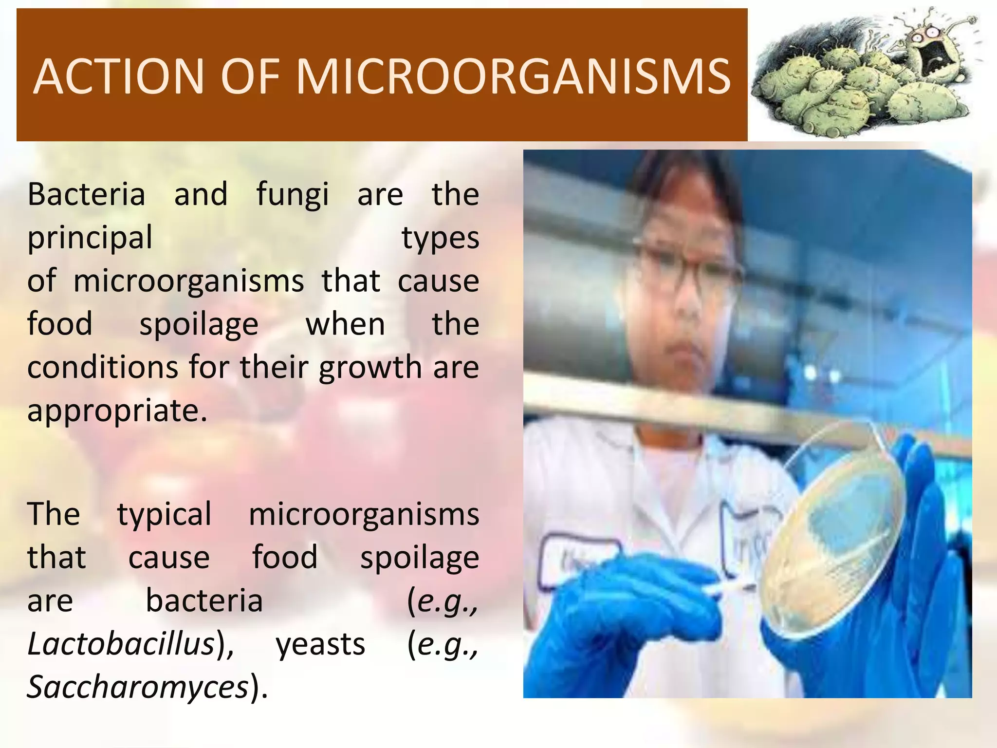 BIOCHEMISTRY OF FOOD SPOILAGE | PPTX
