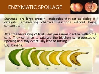 BIOCHEMISTRY OF FOOD SPOILAGE | PPT