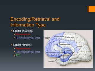 Doctoral Defense Pres SlideShare | PPT