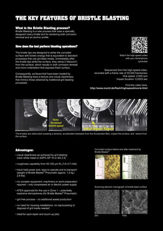 MONTI BRISTLE BLASTER® Industrial - Product Brochure P-033-EN | PDF