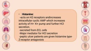Regulation of HCL secretion physiology.pdf