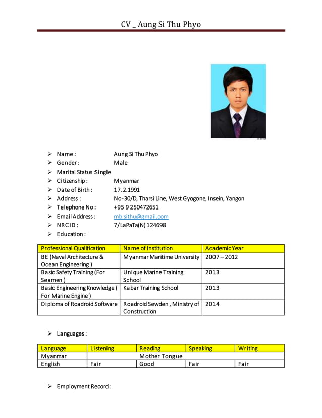 CV_Aung Si Thu Phyo_JH | PDF