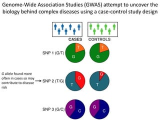 Eample_presentation | PPTX