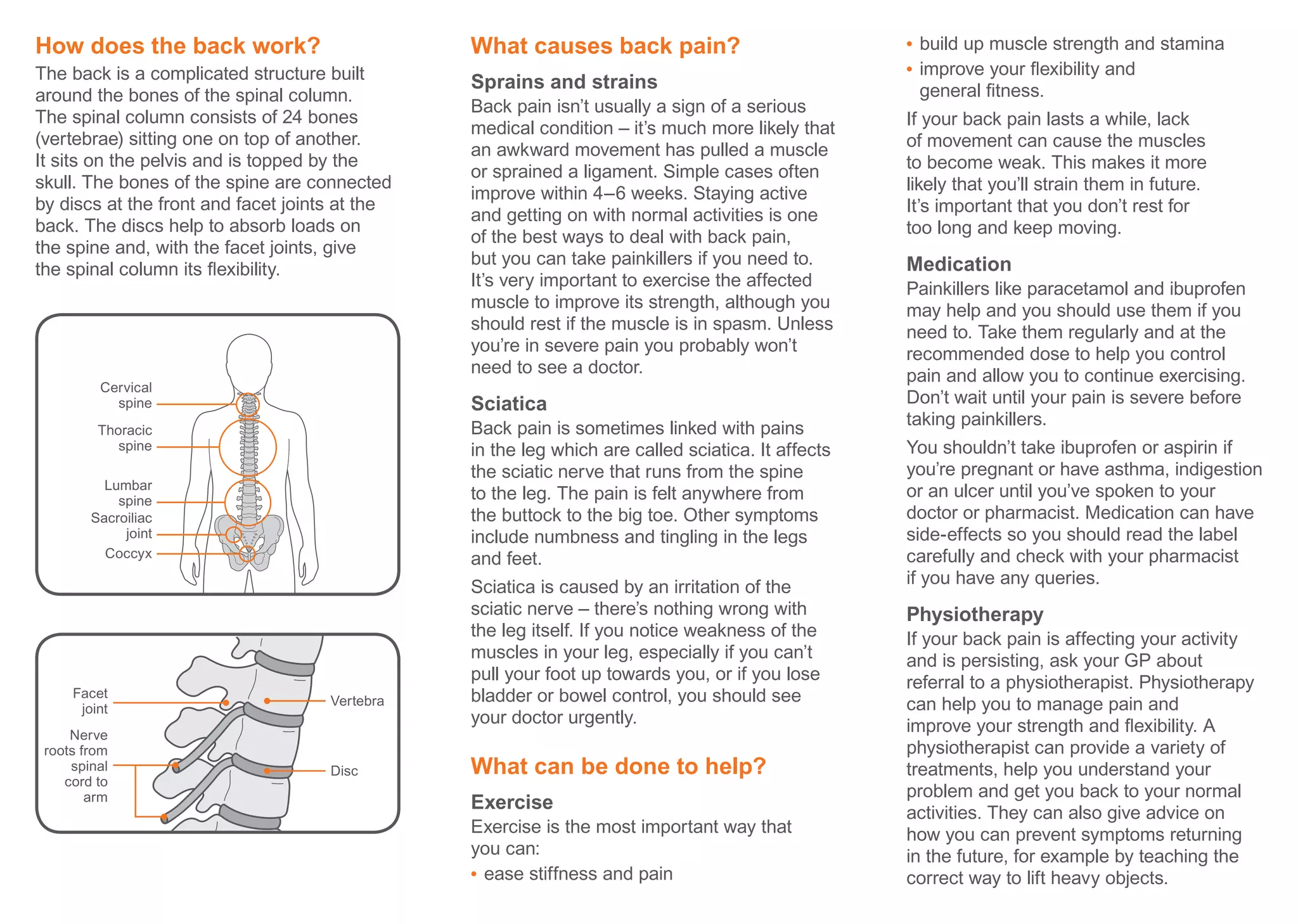 7 back pain | PDF