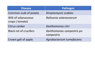 7 Bacteria.pptx