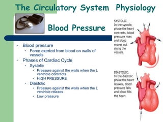 7)Baseline Vital Signs And Sample History | PPT