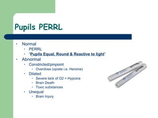 7)Baseline Vital Signs And Sample History | PPT