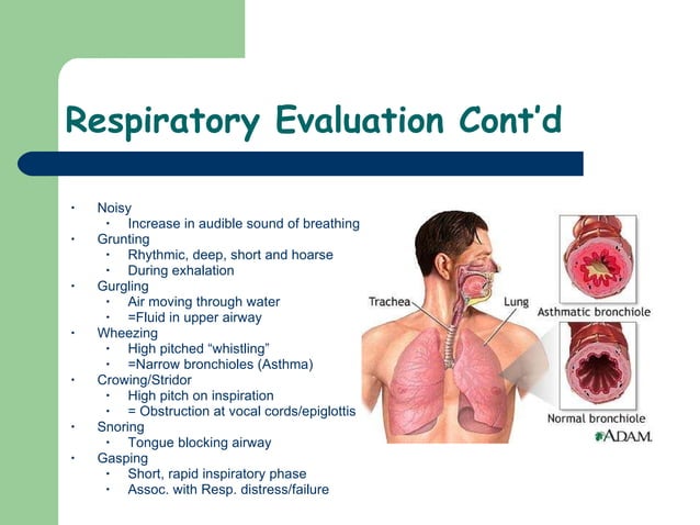 7)Baseline Vital Signs And Sample History | PPT | Free Download
