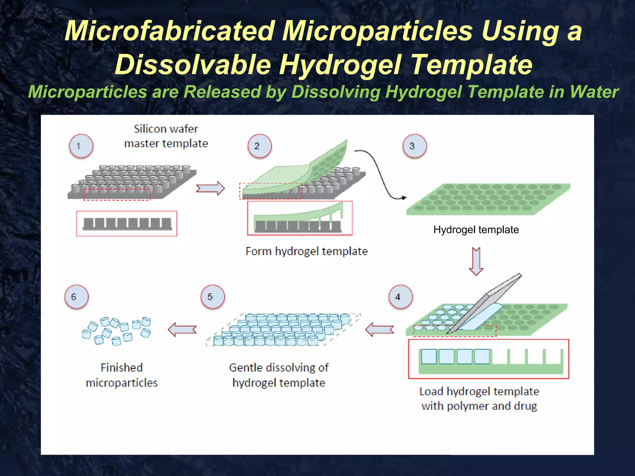 Presentation_of_sustained_release_microparticle_technology_at_ARVO2015_NM | PDF