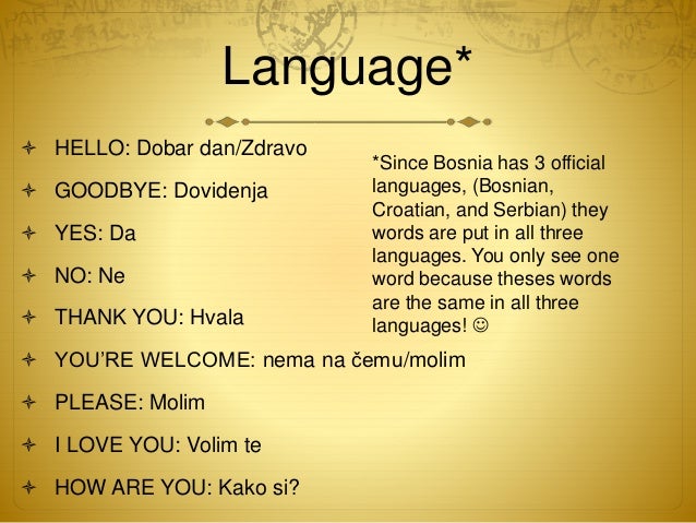 Herzegovina Language