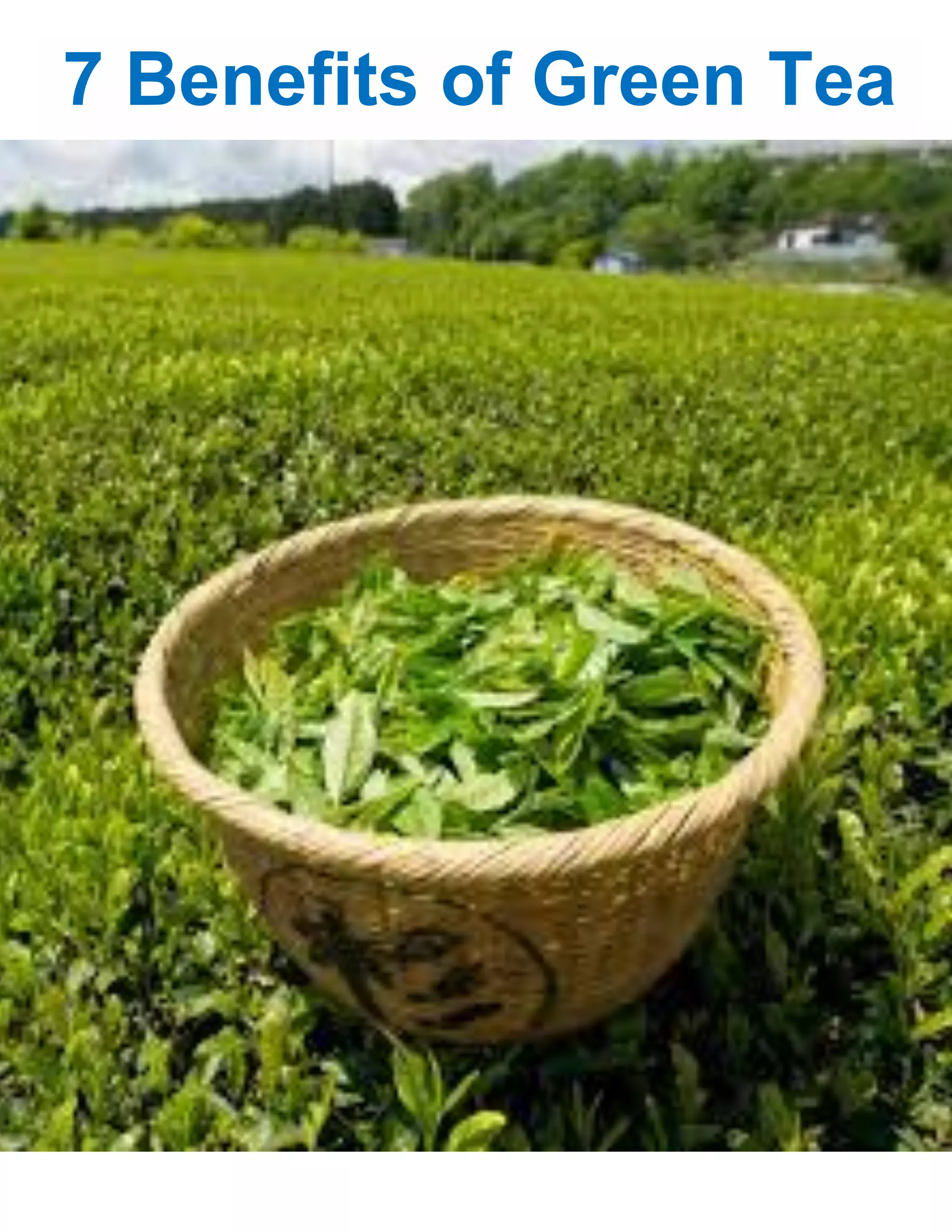 7 benefitis green tea | PDF