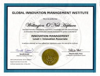GIMI Level I Innovation Associate Certificate | PDF