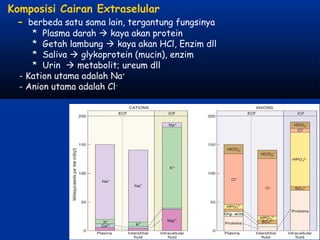 biokimia cairan tubuh | PPT