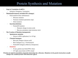7b mutation | PPT