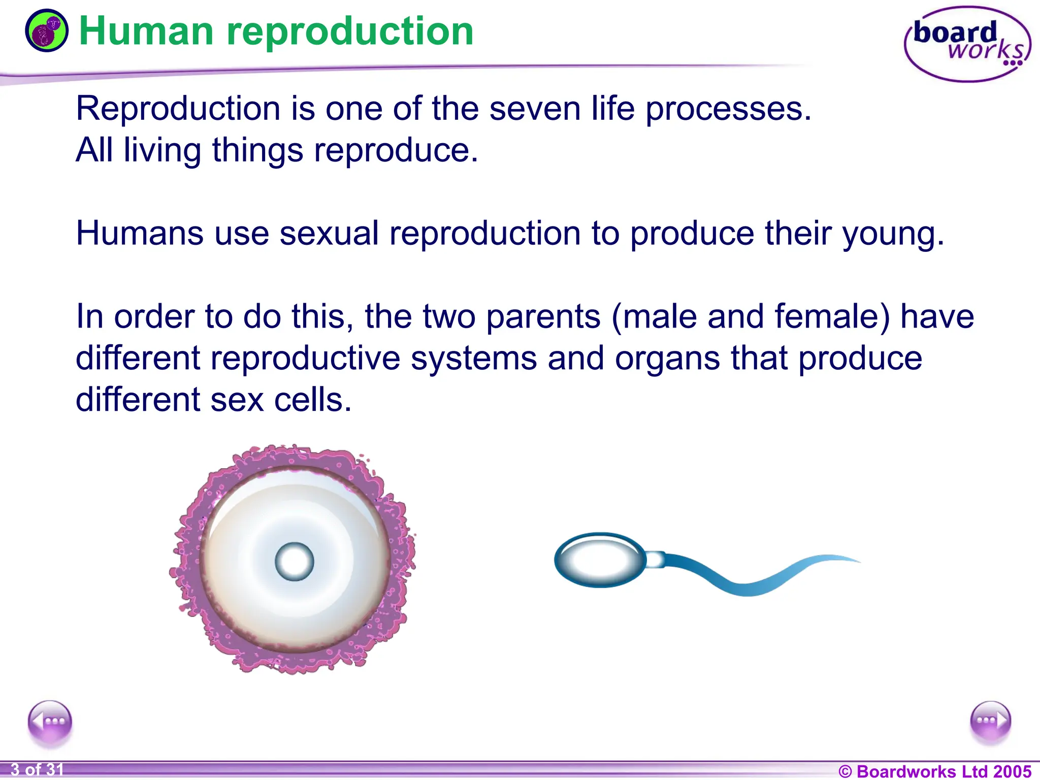 Cambridge KS3 Biology 7-reproduction.ppt