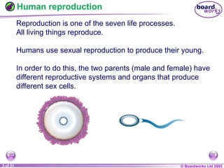 Cambridge KS3 Biology 7-reproduction.ppt