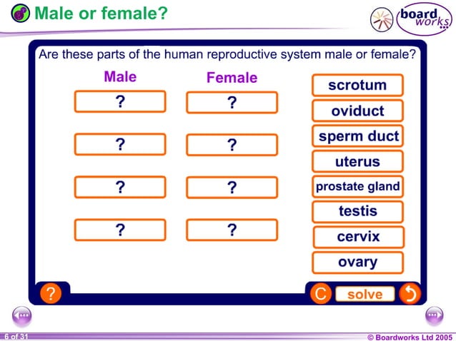 Cambridge KS3 Biology 7-reproduction.ppt
