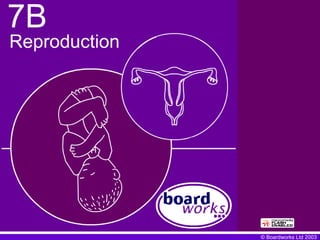 7 b reproduction | PPT