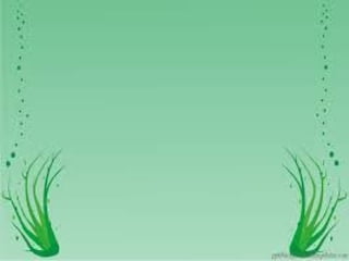 7C-GROUPEDDATA_DECILEhbjbbjhbnmhbmn.pptx