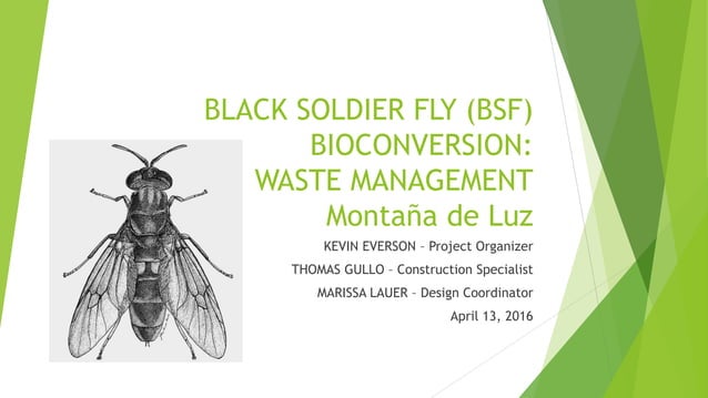 BSF_WasteManagement_FinalPresentation | PPTX
