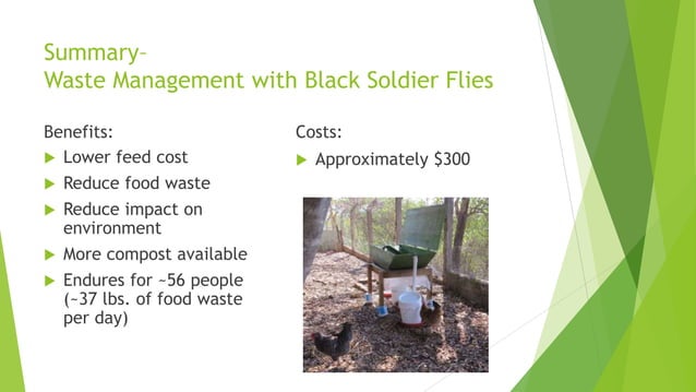 BSF_WasteManagement_FinalPresentation | PPTX