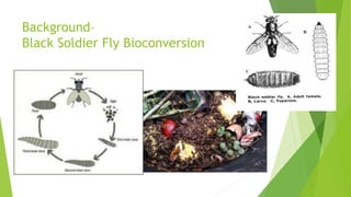 BSF_WasteManagement_FinalPresentation | PPTX