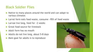 BSF_WasteManagement_FinalPresentation | PPTX