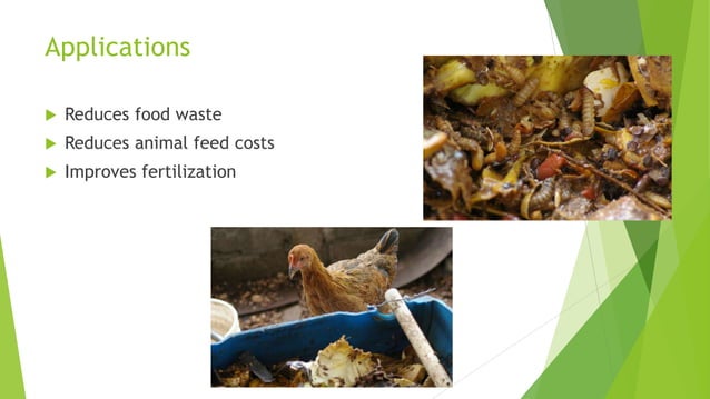 BSF_WasteManagement_FinalPresentation | PPTX