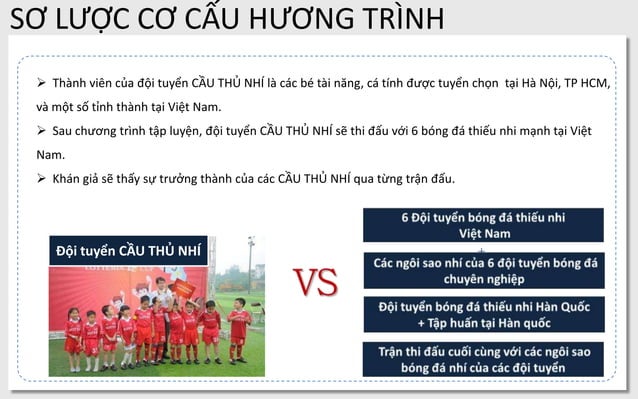 CTN - FORMAT - Viet - Jul 13 | PDF