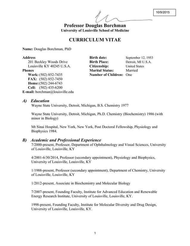 CV Borchman 2015 | PDF