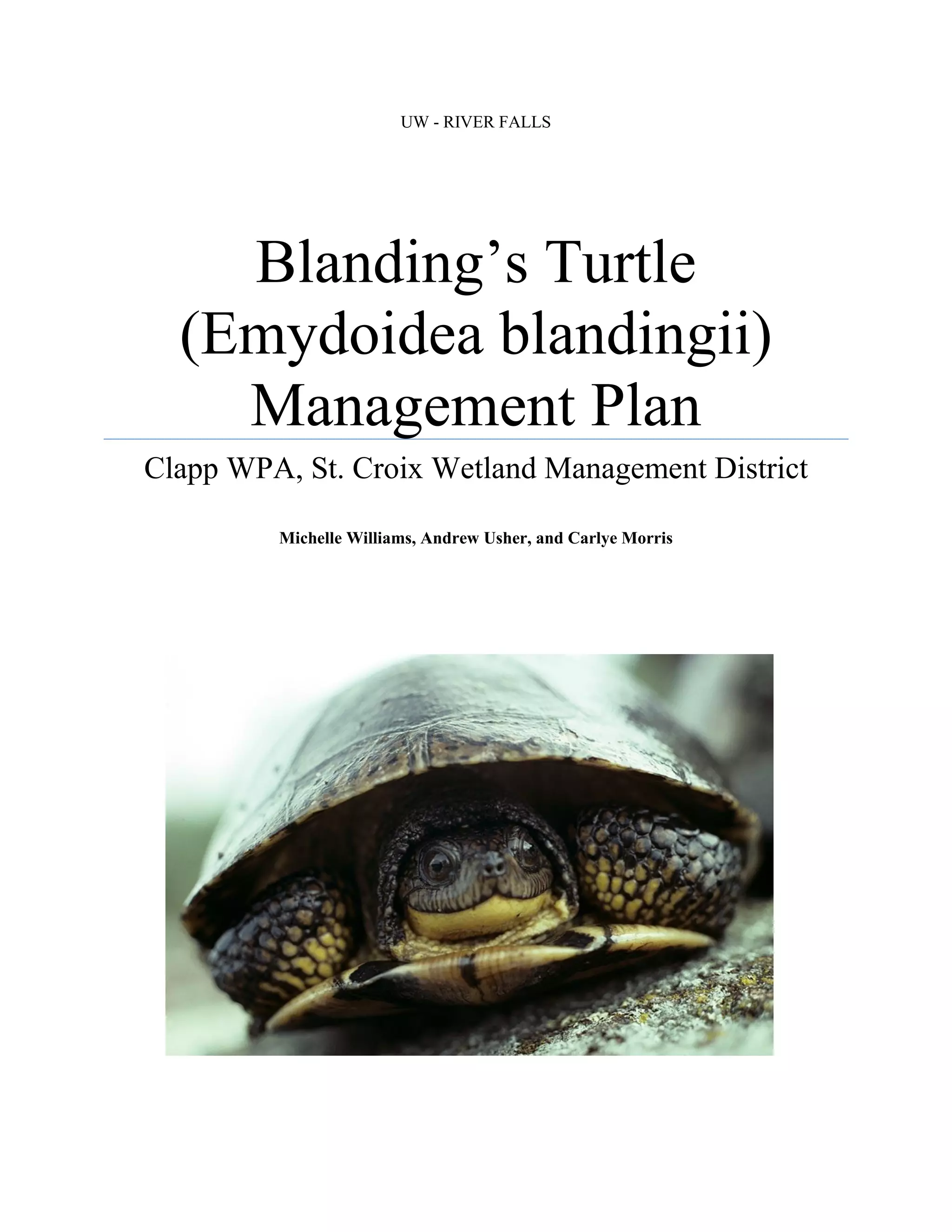 Blanding's Turtle Management Plan | PDF