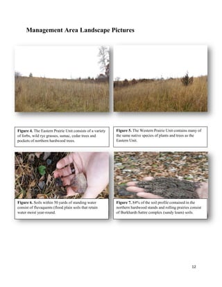 Blanding's Turtle Management Plan | PDF