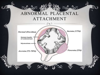 7c9a4939-6417-49a7-b59b-9fd5d6488627-151028203353-lva1-app6891 (1).pptx