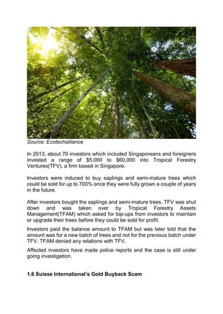 7 Infamous Investment Scams | PDF