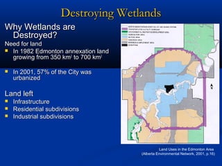 Impacts on Wetlands | PPT