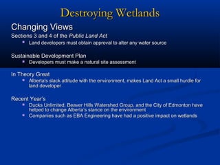 Impacts on Wetlands | PPT