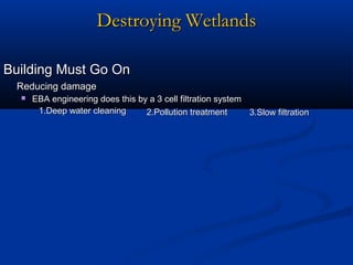 Impacts on Wetlands | PPT