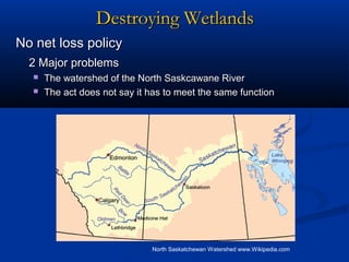 Impacts on Wetlands | PPT