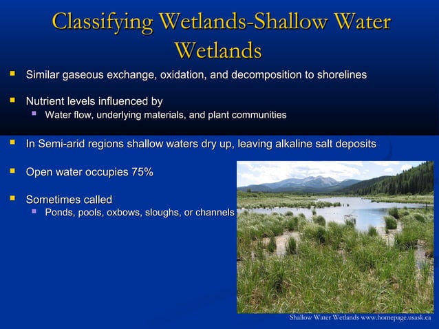 Impacts on Wetlands | PPT