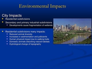 Impacts on Wetlands | PPT