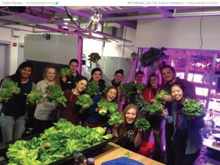 7. MIT City Farm - Caleb Harper | PDF