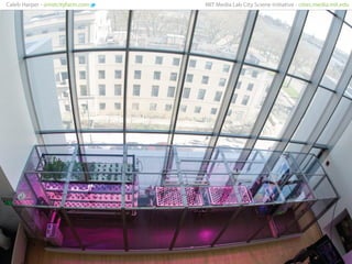 7. MIT City Farm - Caleb Harper | PDF