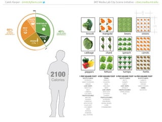 7. MIT City Farm - Caleb Harper | PDF