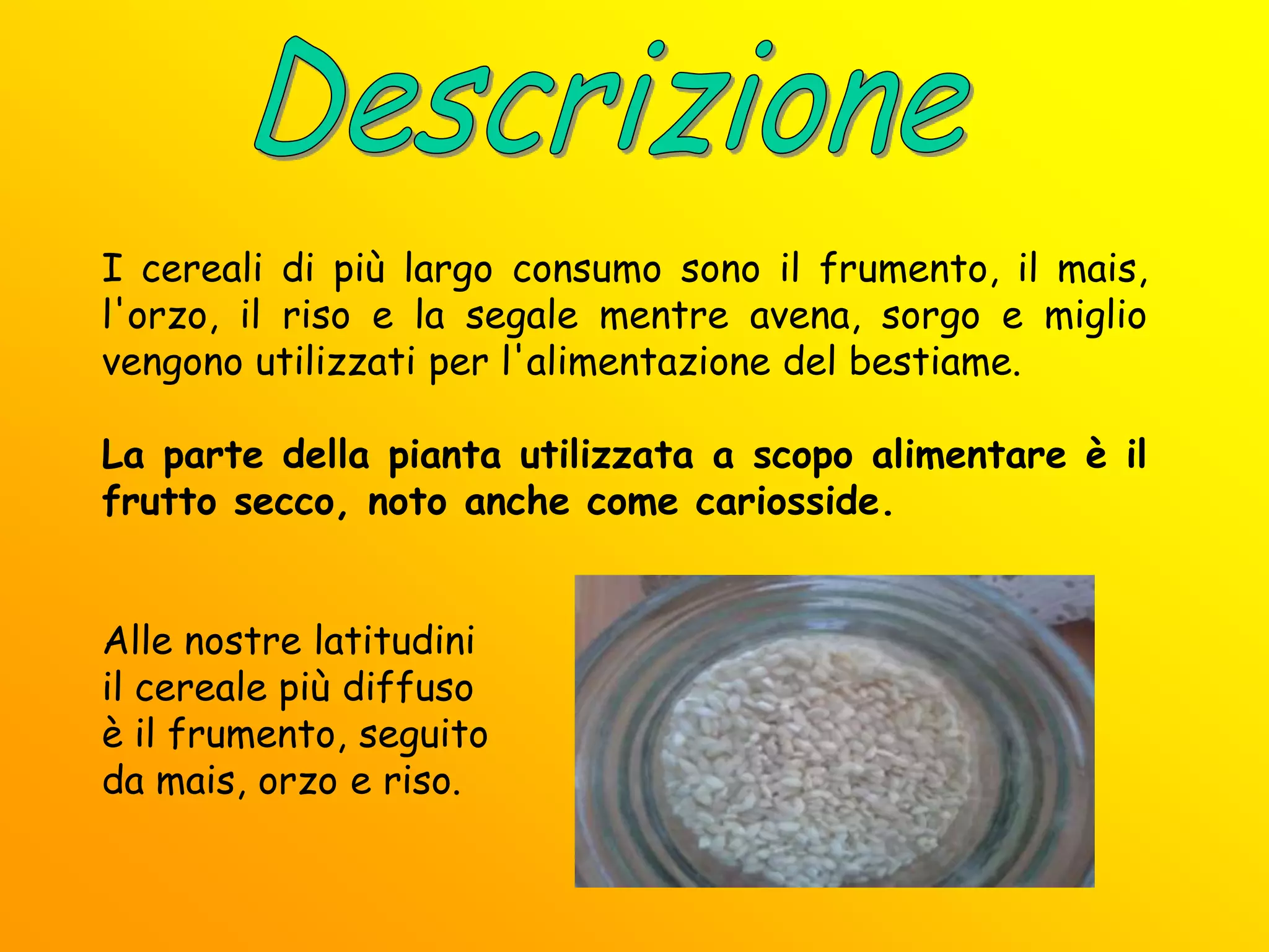 7 carboidrati, fibra alimentare, cereali e tuberi | PPTX