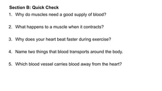 7Cb. Muscles and blood through a human body.pdf